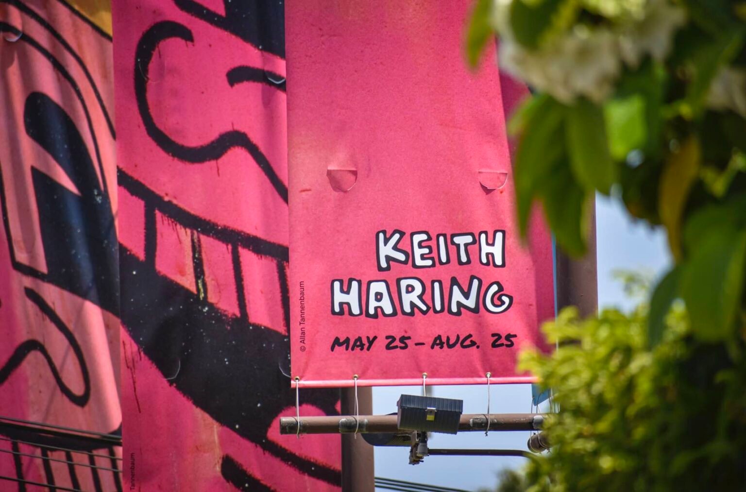 The 'Keith Haring: Radiant Vision' exhibit is the artist's first solo ...