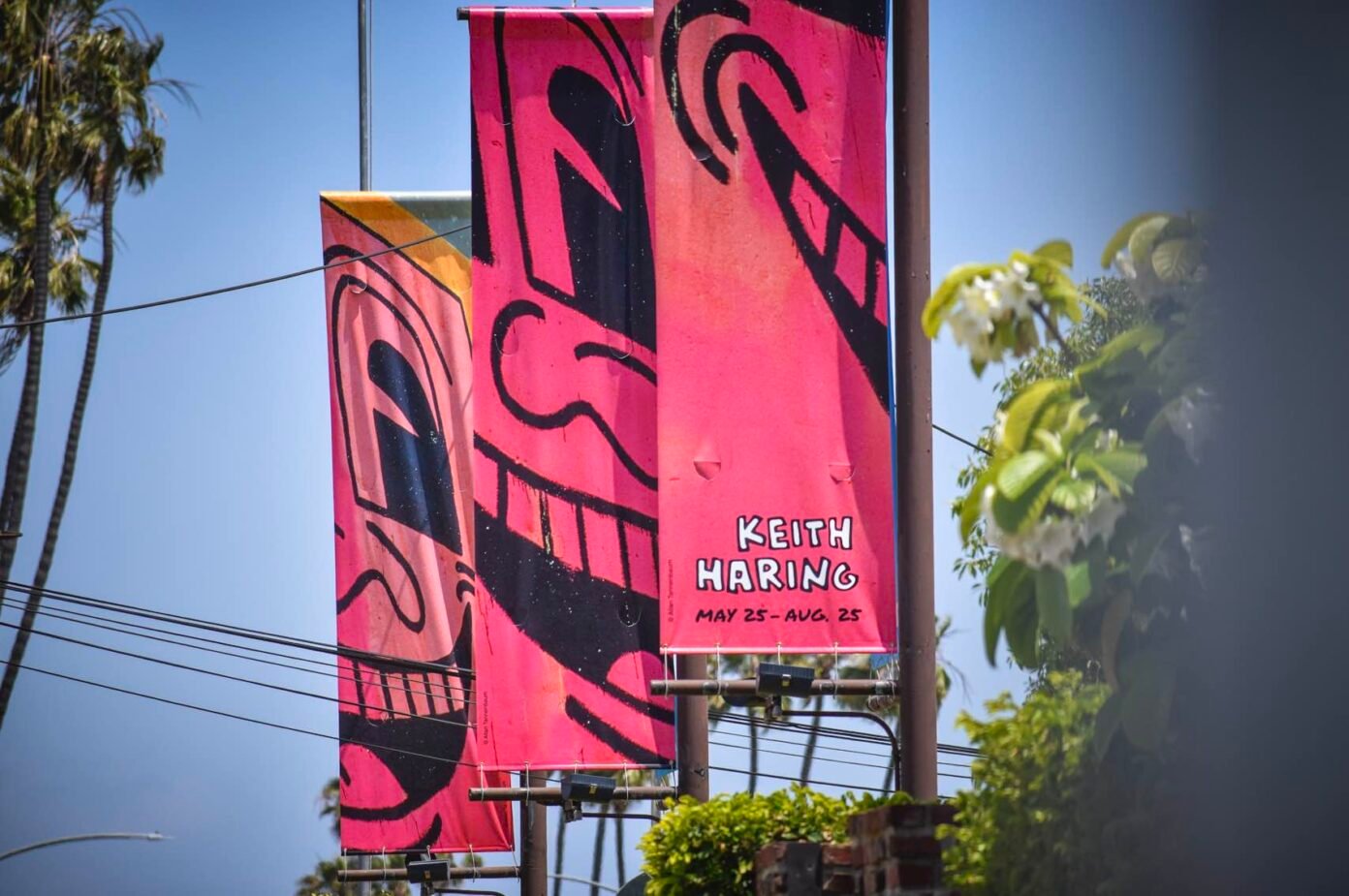 The 'Keith Haring: Radiant Vision' exhibit is the artist's first solo ...