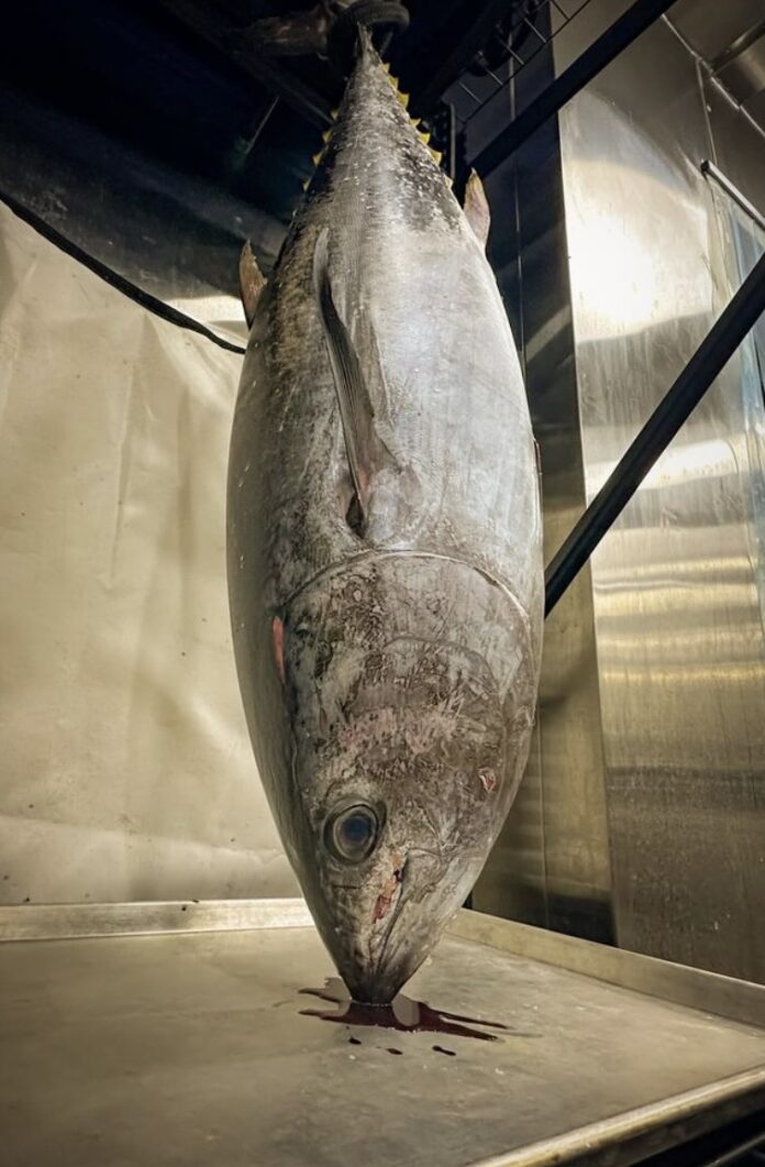 Seal Beach Fish Co. is the sole line-caught seafood restaurant in the ...