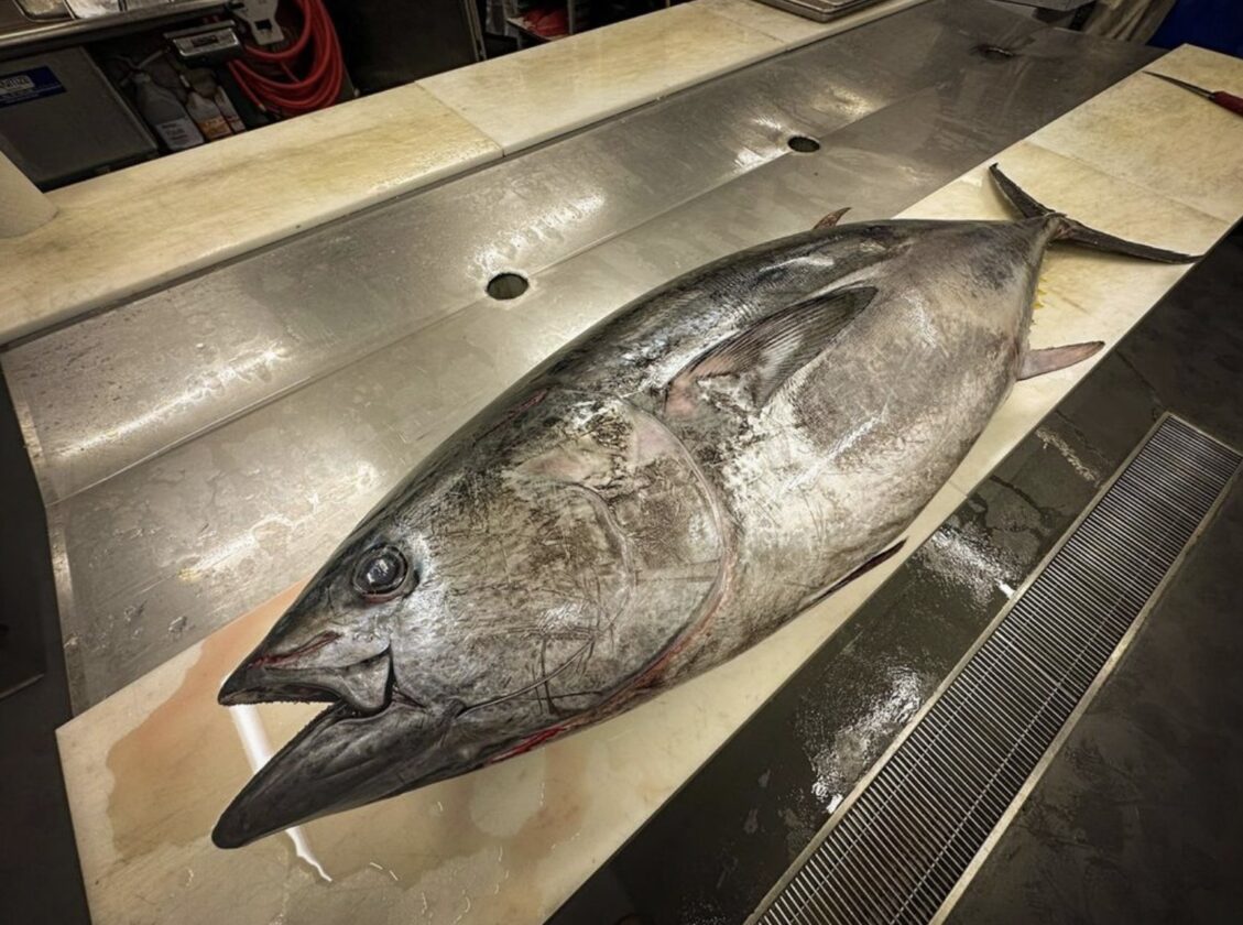 Seal Beach Fish Co. is the sole line-caught seafood restaurant in the ...