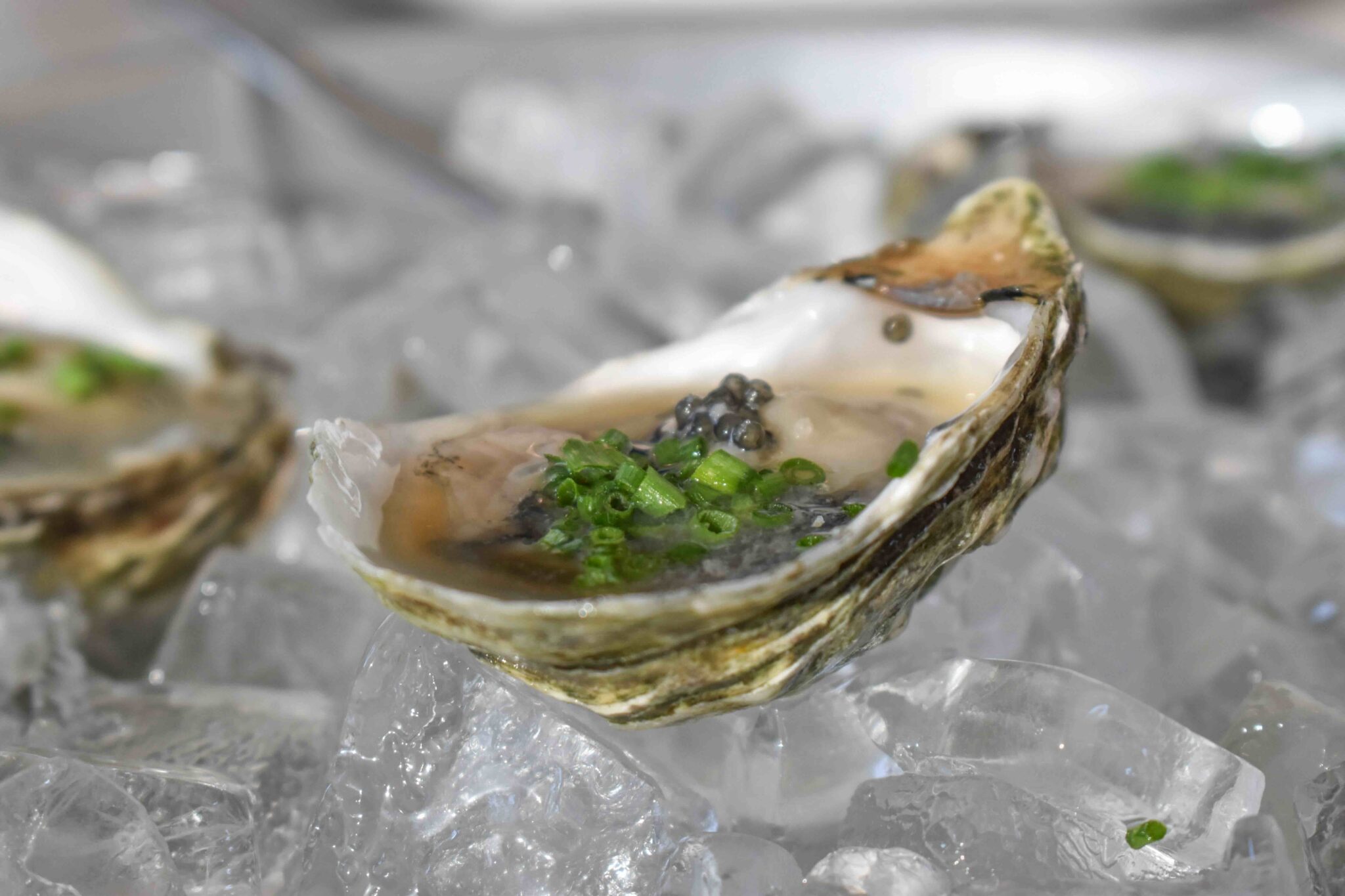 Chef Jason Witzl is back, Long Beach—and takes Ellie's to a full return ...