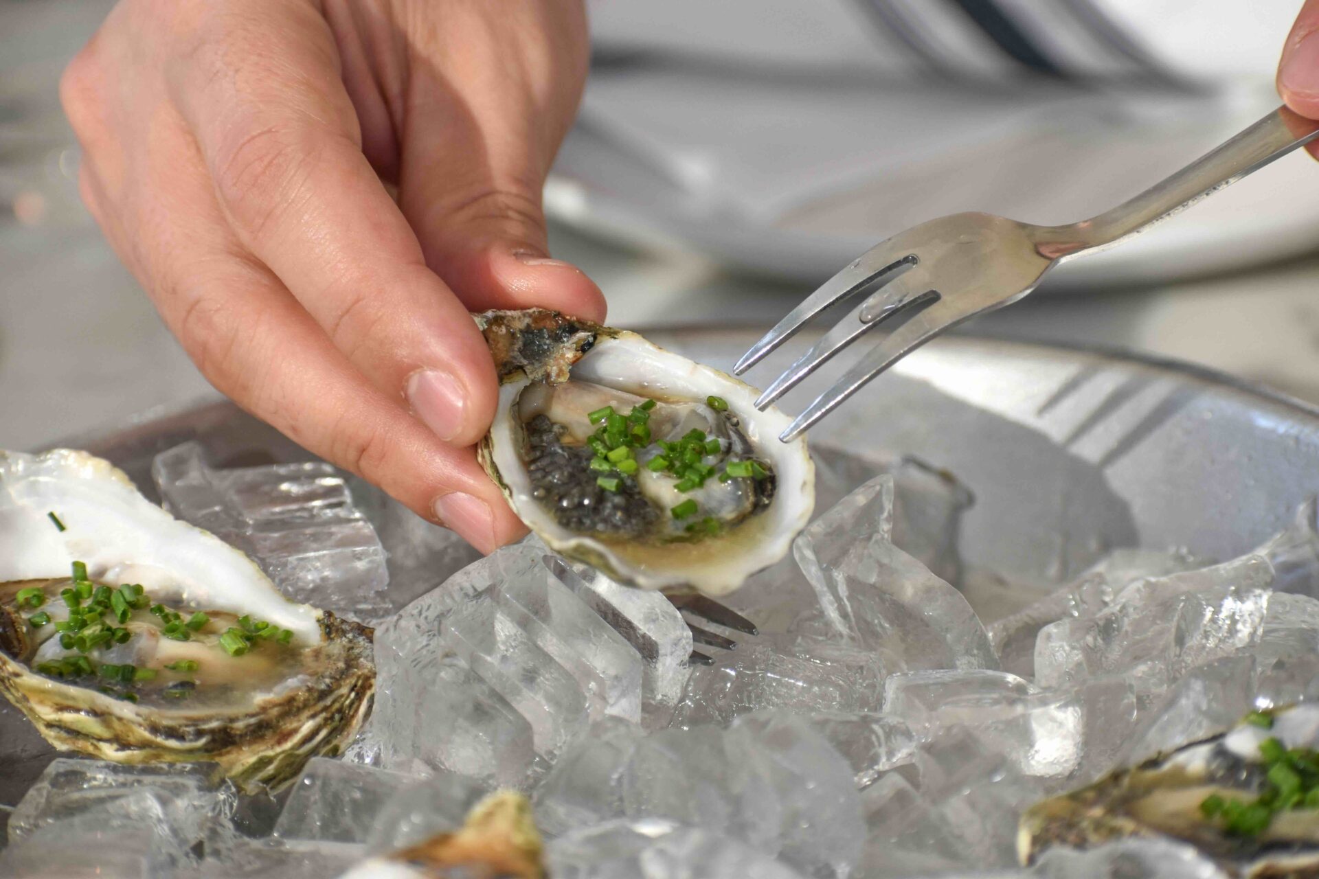 Chef Jason Witzl is back, Long Beach—and takes Ellie's to a full return ...