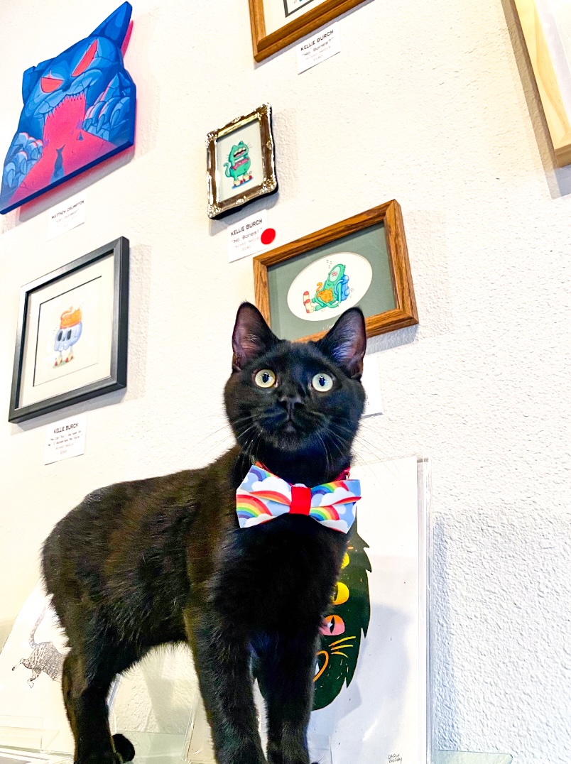 Long Beach Art Scene: Cool Cat Collective launches Monster Cats art ...