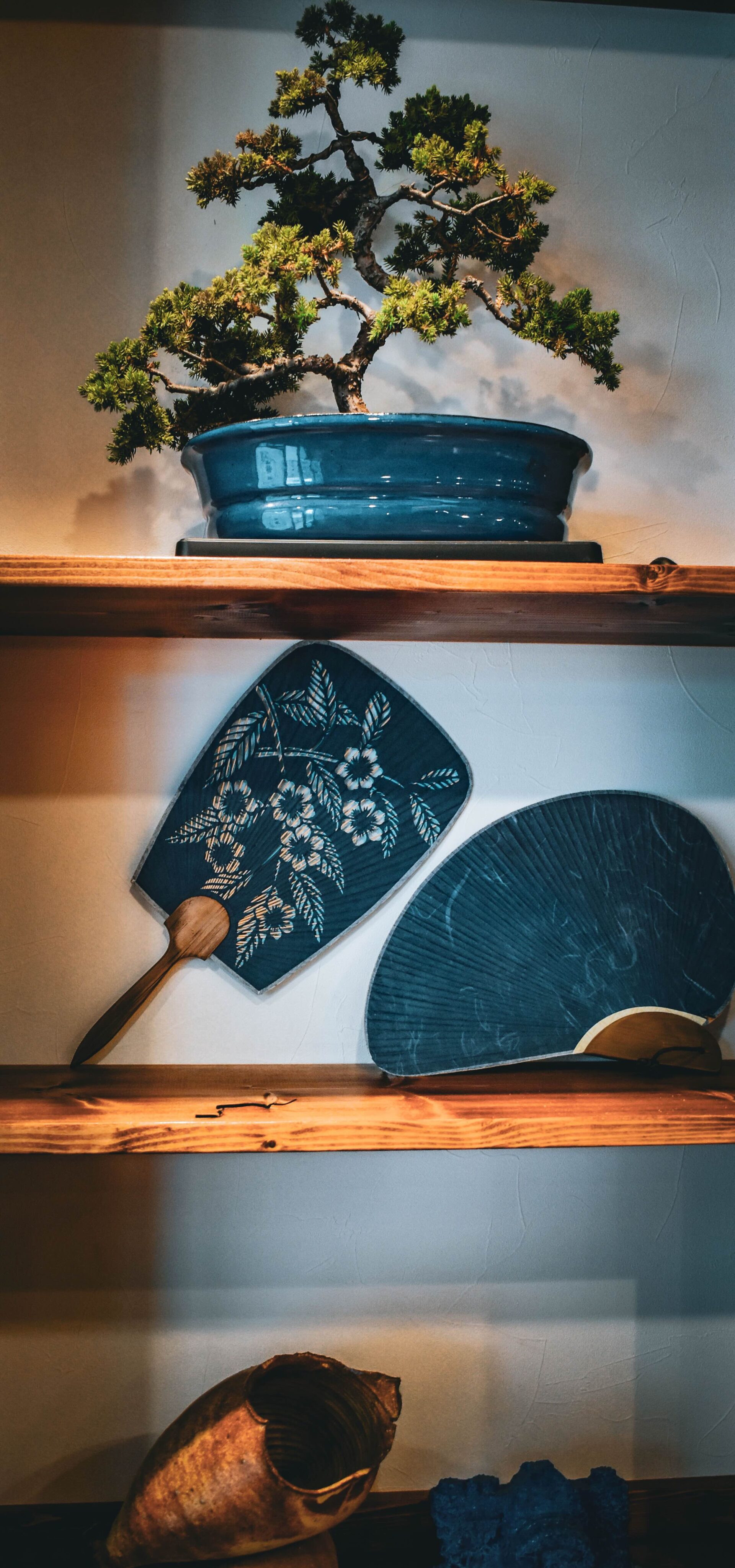 Long Beach's first, proper izakaya space, Homareya, opens this week ...